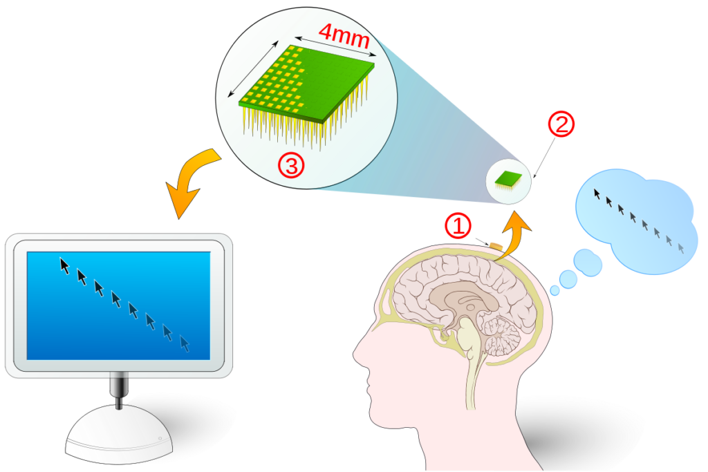 Sistemi Brain Machine Interface (BMI) - Michele Di Luca